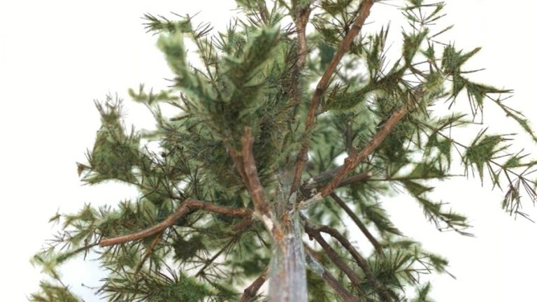 N scale pine trees - Model railroad layouts plansModel railroad layouts ...