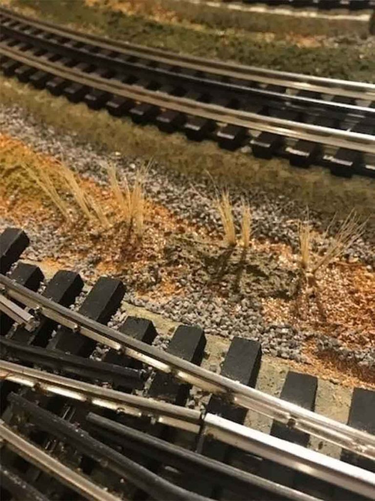 Grass cover for your layout - Model railroad layouts plansModel ...