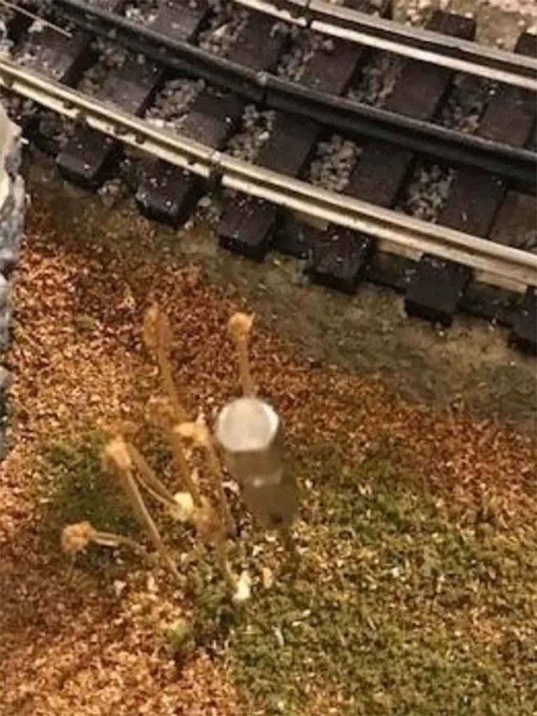 Grass cover for your layout - Model railroad layouts plansModel ...