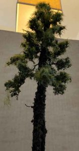 Making trees model railroad - Model railroad layouts plansModel ...