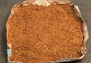 Forest foliage for your model railroad - Model railroad layouts ...