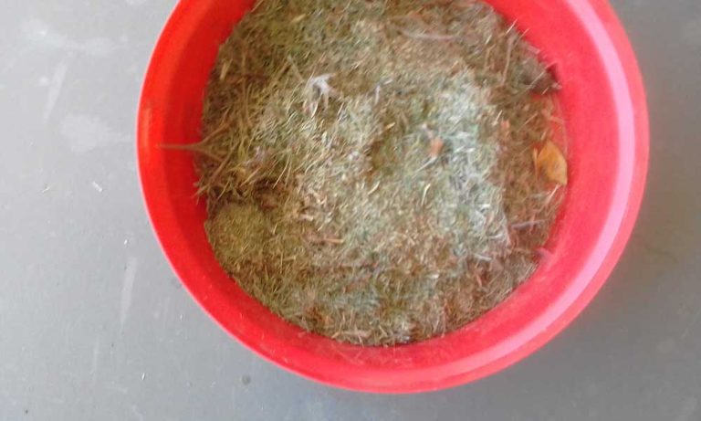 Model railroad grass - Model railroad layouts plansModel railroad ...