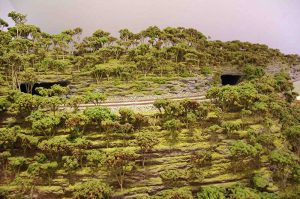 How to make model trees for a train layout - Model railroad layouts ...